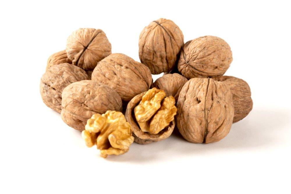 Buy English walnut (Raw) in shell Start sending on November 1-st 2024 ...