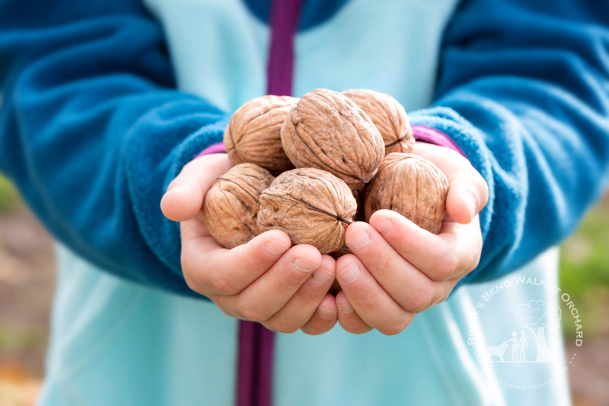River's Bend Walnut Orchard - The Organic Walnut Farm