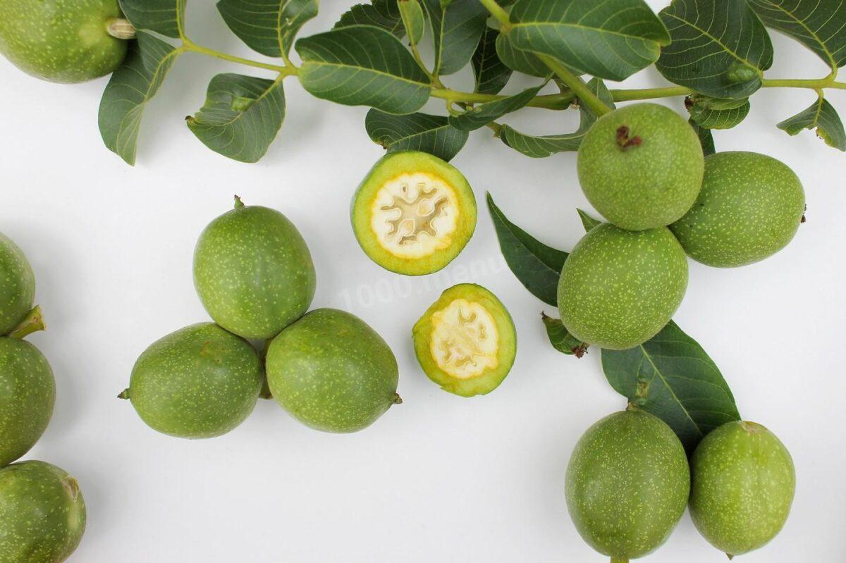 Baby green walnuts. 🌱 Buy on River's Bend Walnut Orchard